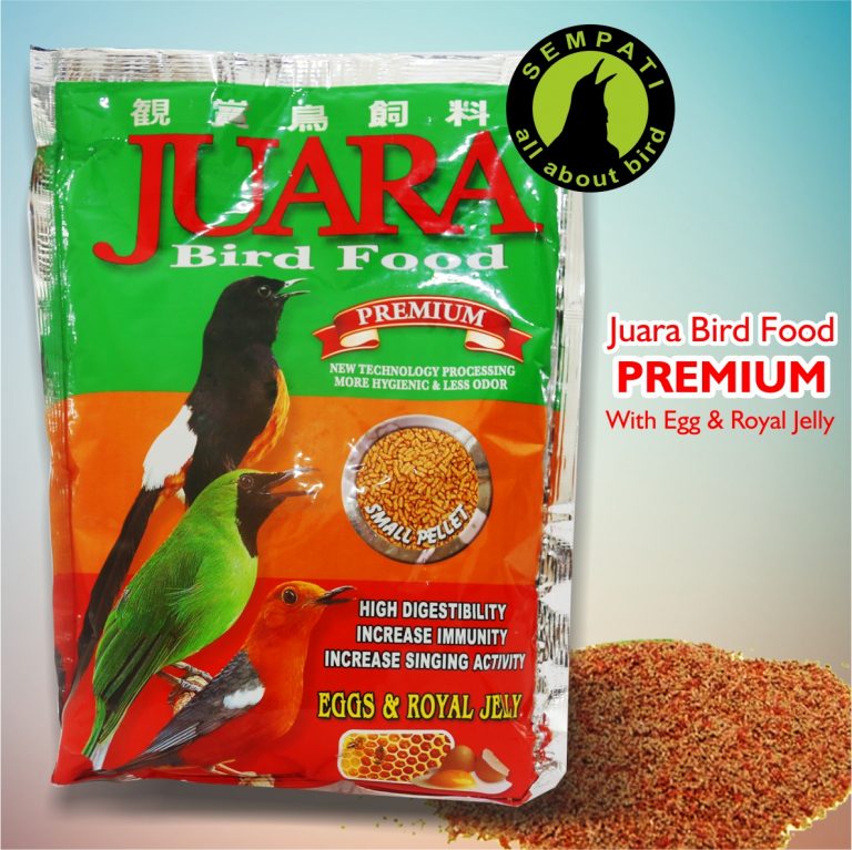 GOLD COIN SEAWEED 250 GRAM GOLDCOIN RUMPUT LAUT HIJAU IJO VOER PUR ...